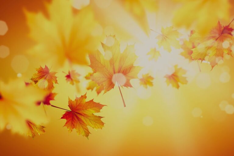 What Drives You: 30 Inspirational Quotes For September - Transitions ...